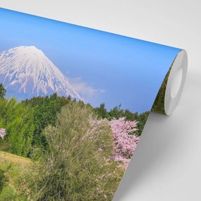 Samolepící fototapeta sopka Fuji