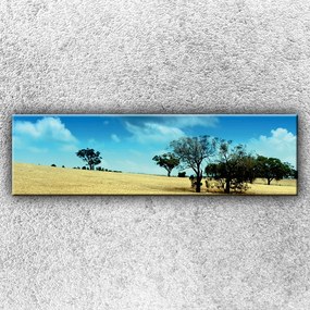 IMPAR Foto na plátno Africká savana 140x40 cm