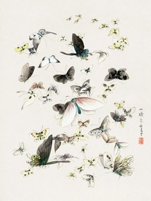 Obrazová reprodukce Butterflies & Moths (2 of 2) - Katsushika Hokusai, (30 x 40 cm)