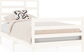 vidaXL Rám postele masivní dřevo 90 x 190 cm jednolůžko [3105826] Barva: Přírodní