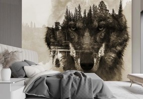 Fototapeta, Vlk lesní zvíře v mlze - 450x315 cm