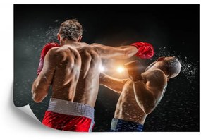 Fototapeta Boj Boxerů Hladký vinyl 208x146