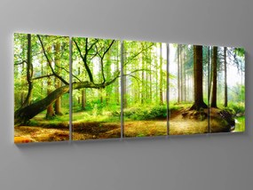 Liox Les v paprscích slunce Rozměr: 150 x 60 cm