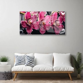 Obraz na skle Květiny Orchideje  Výhonky Příroda 125x50 cm