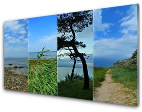 akrylový obraz Pláž Strom Krajina 100x50 cm