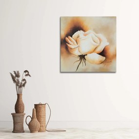 Gario Obraz na plátně Bílá růže pupen Rozměry: 30 x 30 cm