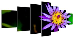 Obraz květiny (210x100 cm)