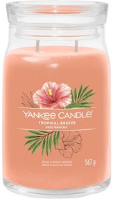 Yankee Candle – Signature svíčka Tropical Breeze (Tropický vánek) Velikost: střední 368 g