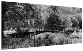 Černobílý most - obraz (100x40cm)