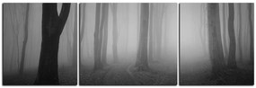 Obraz na plátně - Mlha v lese - panoráma 5182QC (120x40 cm)