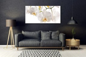 Plexisklo-obraz Orchidej Květiny Příroda 120x60 cm