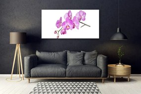 Plexisklo-obraz Vstavač Orchidej Květiny 120x60 cm