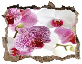 Wallmuralia Fototapeta nálepka na zeď Fototapeta orchidej 95x64 cm