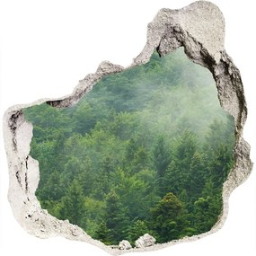 Wallmuralia Samolepící díra nálepka Tajemný les 75x75 cm