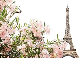 Samolepící fototapeta Eiffelova věž a růžové květy - 375x250 cm