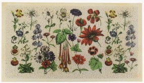 Pratelná rohožka Botanicals