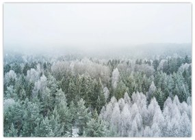 Skleněný obraz - Zasněžené vrcholky lesů (70x50 cm)