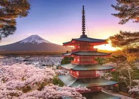 Ravensburger Rozkvetlé třešně v Japonsku / 1000 dílků / od 14 let