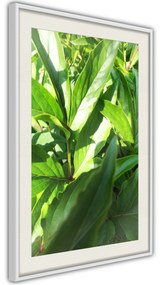 Artgeist Plakát někde v zahradě Velikosti (šířkaxvýška): 30x45, Finální vzhled: Bílý rám s paspartou