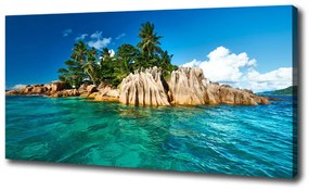 Wallmuralia Foto obraz na plátně do obýváku Tropický ostrov 100x50