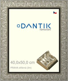 DANTIK rámeček 40x50 | PRAHA stříbrná (Sklo Čiré)