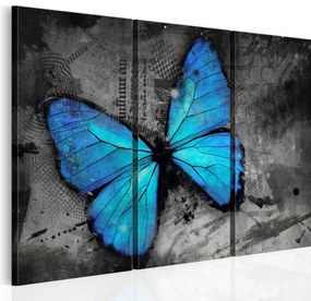 Obraz - The study of butterfly - triptych