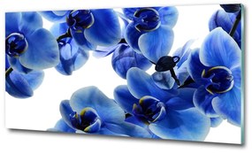 Wallmuralia Foto obraz sklo tvrzené Modrná orchidej 100x50