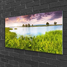 Obraz na skle Tráva Jezero Příroda 100x50 cm