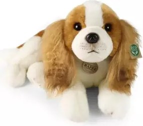 RAPPA Plyšový pes kavalír king Charles španěl 40 cm / ECO-FRIENDLY  /
