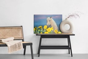 Obraz Kůň A Slunečnice Nedostatek Nedostatek Plátno Canvas 30x20