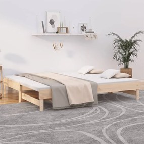 Výsuvná postel 2x(100x200) cm masivní borovice,  823374