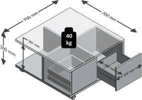Sconto Konferenční stolek TWIN dub sonoma/bílá