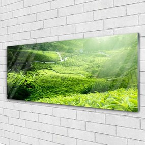 akrylový obraz Louka Příroda 125x50 cm