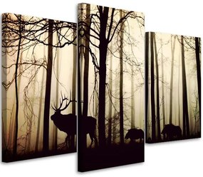 Gario Obraz na plátně Lesní zvířata - 3 dílný Rozměry: 60 x 40 cm