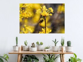 Nalepte.cz Včela a květ 100 x 67 cm