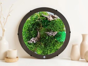 Li-Go "Mechové kopečky s kořeny" dřevěná lampa/obraz s baterií a pohybovým čidlem/černá s patinou velikost svítidla/hodin: 50 cm