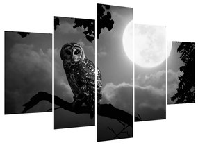 Obraz noční sovy (150x105 cm)