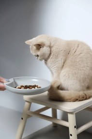 Pet Amour Designová miska pro kočky Plate bílá