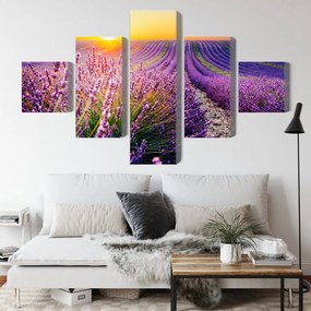 Vícedílný obraz Levandulové Pole Při Západu Slunce 3D Nedostatek Nedostatek Plátno Canvas 250x150