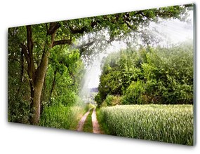 akrylový obraz Stromy Stezka Příroda 100x50 cm