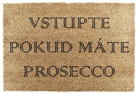 Rohožka z kokosového vlákna 40x60 cm Prosecco – Artsy Doormats