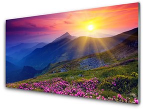 Obraz na skle Hory Květ Louka Krajina 120x60 cm