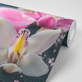 Samolepící fototapeta nádherná detailní orchidej