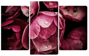Vícedílný obraz Pivoňka Květiny Zblízka 3D Nedostatek Nedostatek Přírodní plátno 60x40