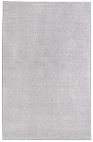 Kusový koberec Pure 102615 Grau-140x200
