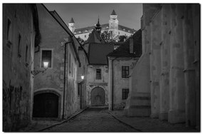 Obraz na plátně - Bratislava staré město s hradem vzadu 1265QA (75x50 cm)