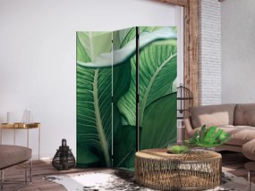 Pokojová zástěna Large Leaves - Floral Motif in Shades of Green [Room Dividers]