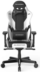 Herní židle DXRacer GB001/NW