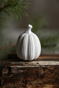 Podzimní dekorace dýně Tranhult White 7 cm Storefactory Scandinavia