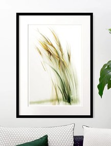 Elegantní grafika s trávami do moderních interiérů Trávy, Prchavá Série | Anna Borkowska